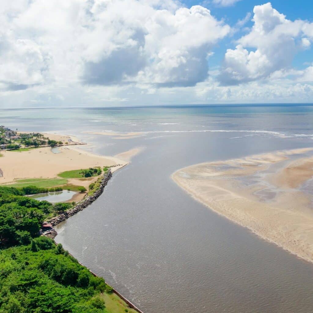 Estuaries: Ecological Jewels in Danger " Impacto Positivo