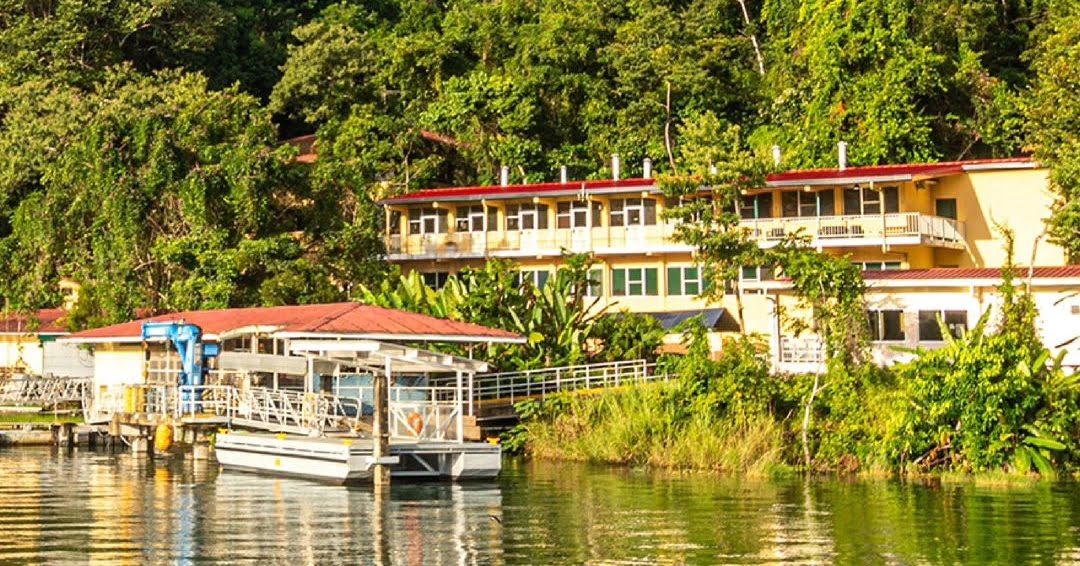 Barro Colorado: Un Centenario De Investigación Científica