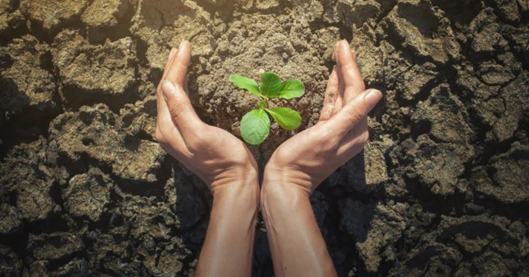La luna podría volverse habitable gracias a horticultura