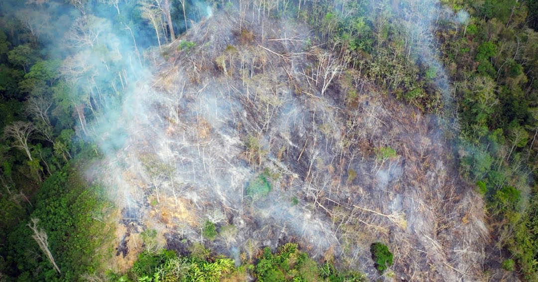 Deforestación en Darién es delimitada satelitalmente