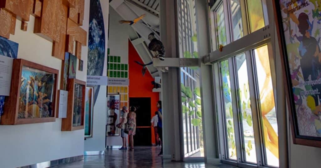 Pilares Del Biomuseo Reconoce Labor De La Doctora Indra Candanedoi