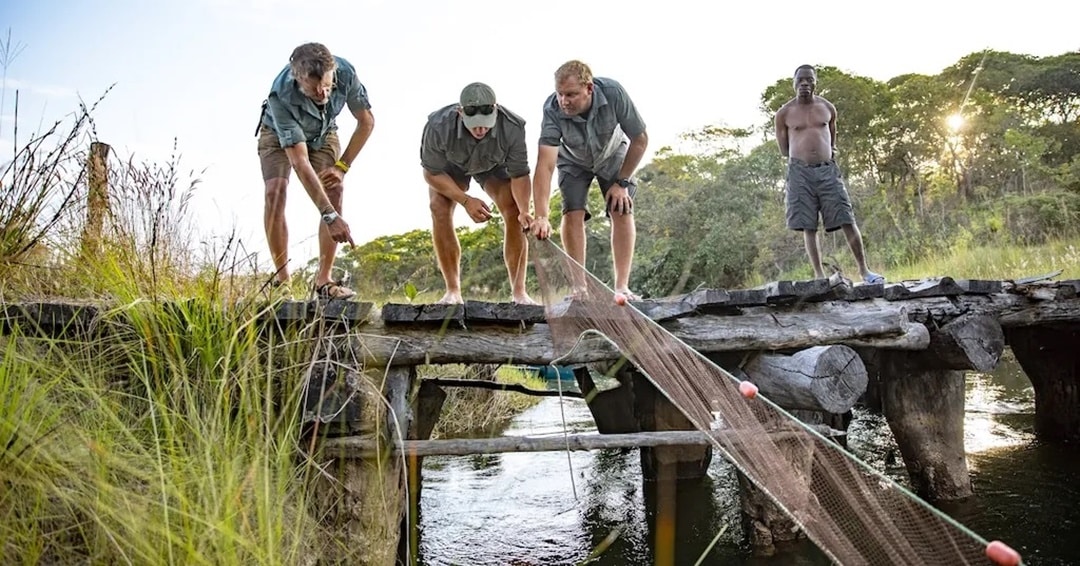 Steve Boyes y su equipo buscan salvar los ríos africanos